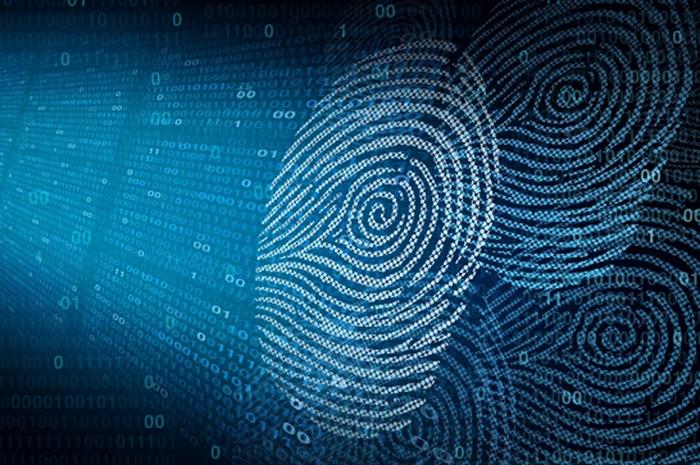 Consumer Data Privacy Laws May Gain More Traction In 2021 But Many